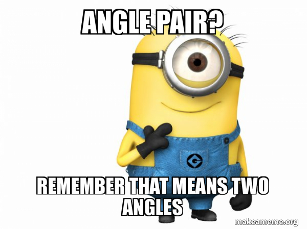 Angle Pair? Remember that means TWO angles - Thoughtful Minion Meme ...