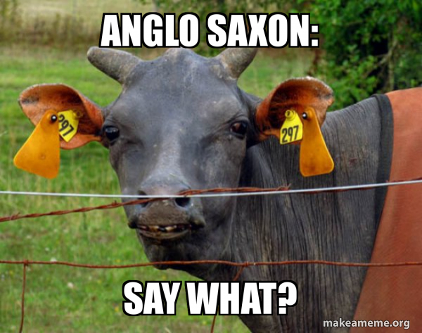 Anglo Saxon: Say What? - Hairless Cow Meme Generator