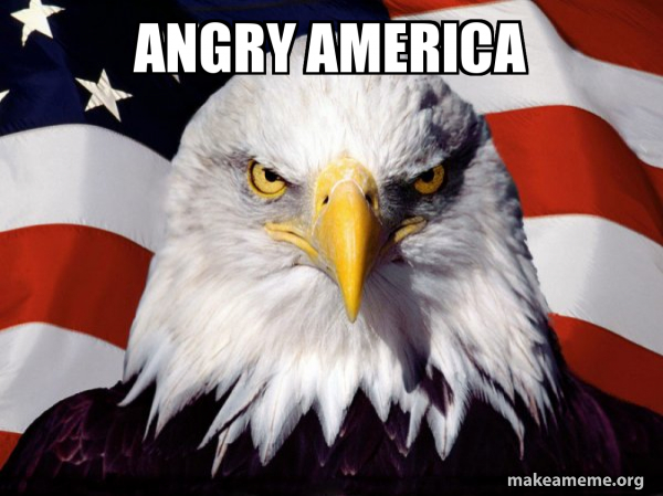 angry america - American Pride Eagle Meme Generator