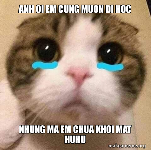 Anh oi em cung muon di hoc NhUng ma em chua khoi mat huhu Meme Generator