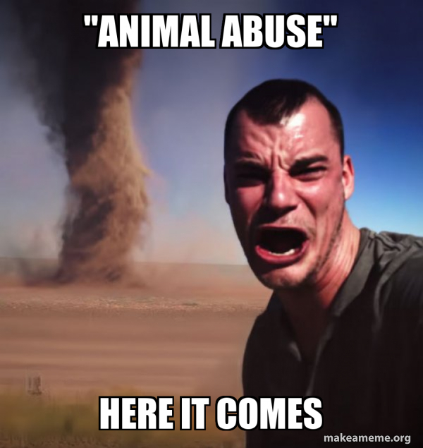 "Animal abuse" Here it comes - Tornado Guy Meme Generator