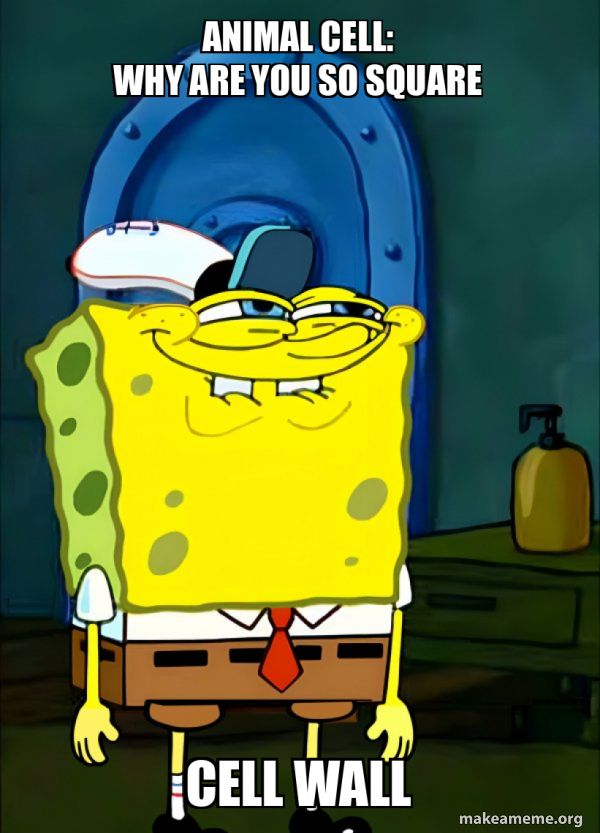 Animal Cell Memes Dogs Running On Empty Brain Cells 🤣🐶 NEW Funny