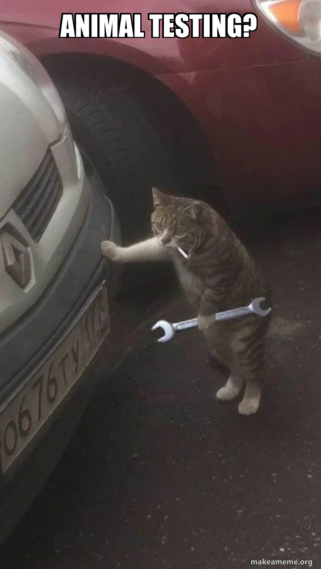 Animal Testing? - Mechanic Cat Meme Generator