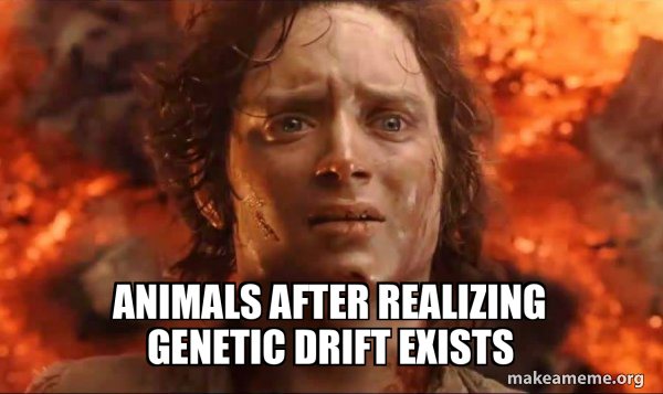 Animals after realizing genetic drift exists - Frodo it's over it's ...