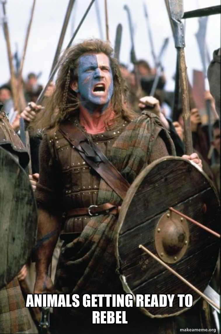 Animals getting ready to rebel - William Wallace Meme Generator