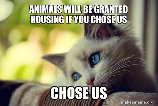 Animals will be granted housing if you chose us chose us - First World ...