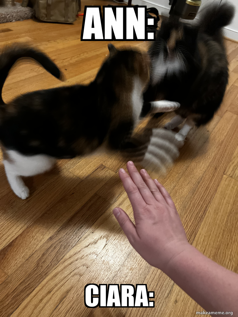 Ann: Ciara: Meme Generator