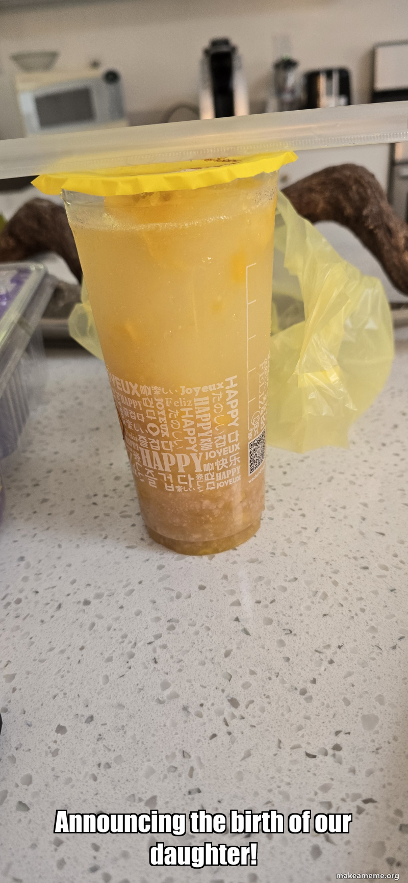 Announcing the birth of our daughter! Meme Generator