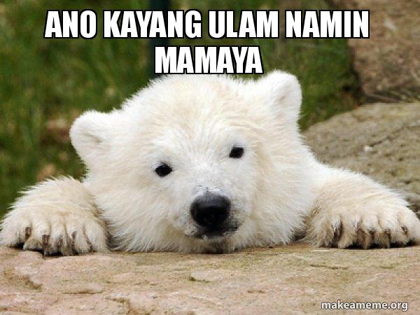 Ulam Memes Ulam The OOF | The Ihatemysalf "Friends" Wiki | Fandom