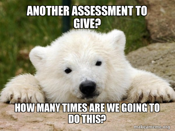 Another Assessment to GIve? How many times are we going to do this ...