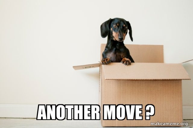 another move ? Meme Generator