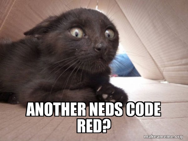 Another NEDS CODE RED? - Schitzo Cat Meme Generator