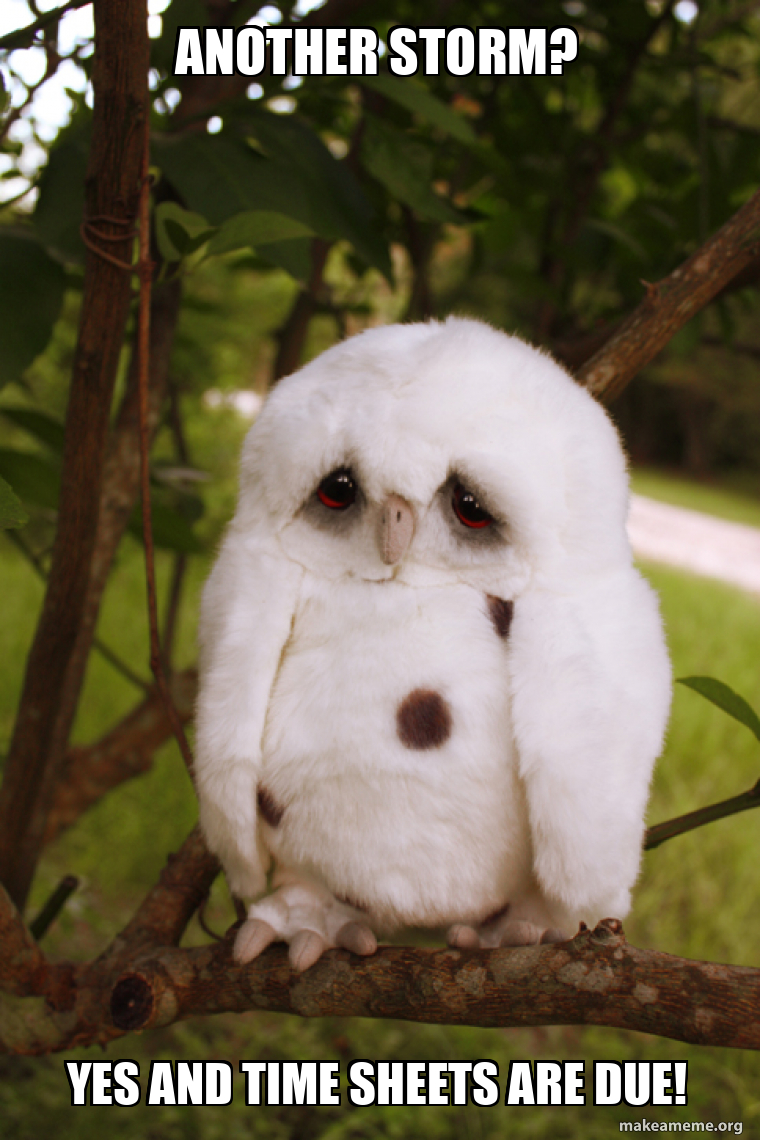 Another storm? Yes and time sheets are due! Meme Generator