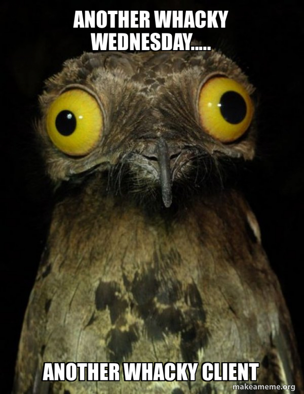 Another whacky Wednesday..... Another Whacky Client - Weird Stuff I do ...