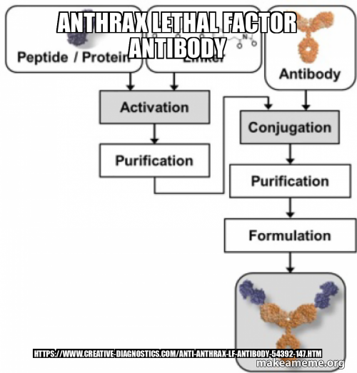 Anthrax Lethal Factor Antibody https://www.creative-diagnostics.com ...
