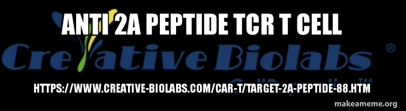 anti 2A peptide TCR t cell https://www.creative-biolabs.com/car-t ...