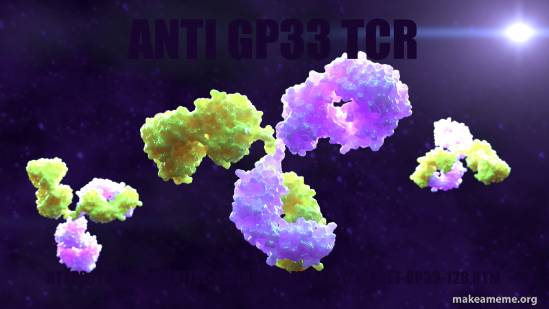 anti gp33 TCR https://www.creative-biolabs.com/car-t/target-gp33-128 ...