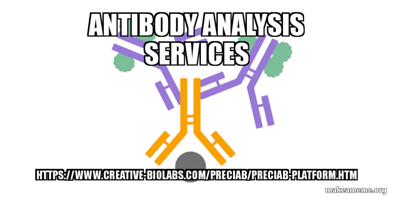 antibody analysis services https://www.creative-biolabs.com/preciab ...