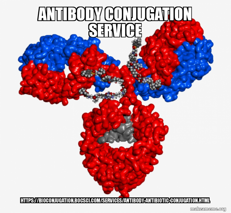 antibody conjugation service https://bioconjugation.bocsci.com/services/antibody-antibiotic ...