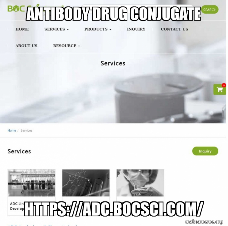 antibody drug conjugate https://adc.bocsci.com/ Meme Generator