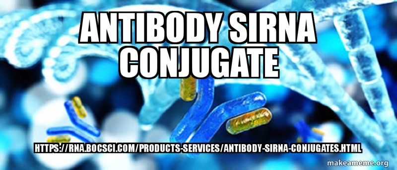 antibody sirna conjugate https://rna.bocsci.com/products-services ...