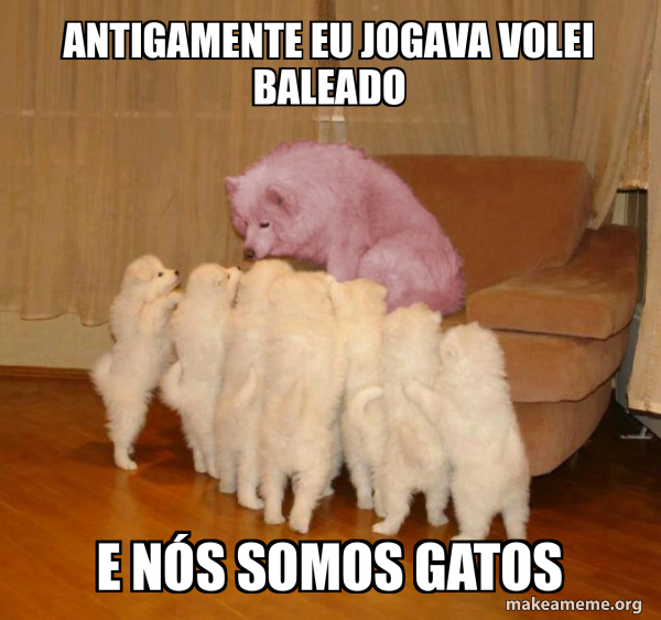 antigamente eu jogava volei baleado E nós somos gatos - Malicious ...
