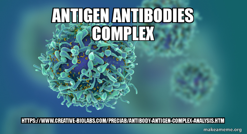 antigen antibodies complex https://www.creative-biolabs.com/preciab ...