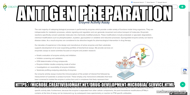 Antigen Preparation https://microbe.creativebiomart.net/drug ...