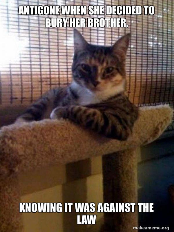 Antigone when she decided to bury her brother, knowing it was against ...