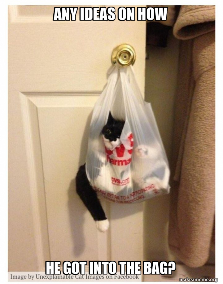 any ideas on how he got into the bag? Meme Generator