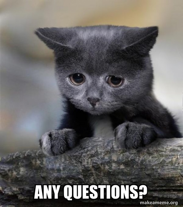 ANY QUESTIONS? - Confession Cat Meme Generator