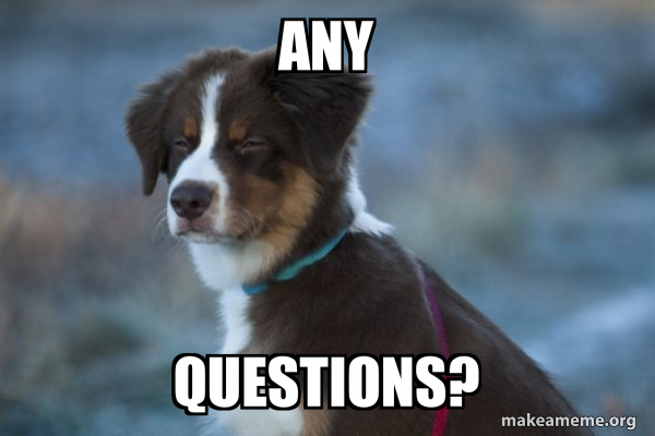 any questions? - Unsure Dog Meme Generator