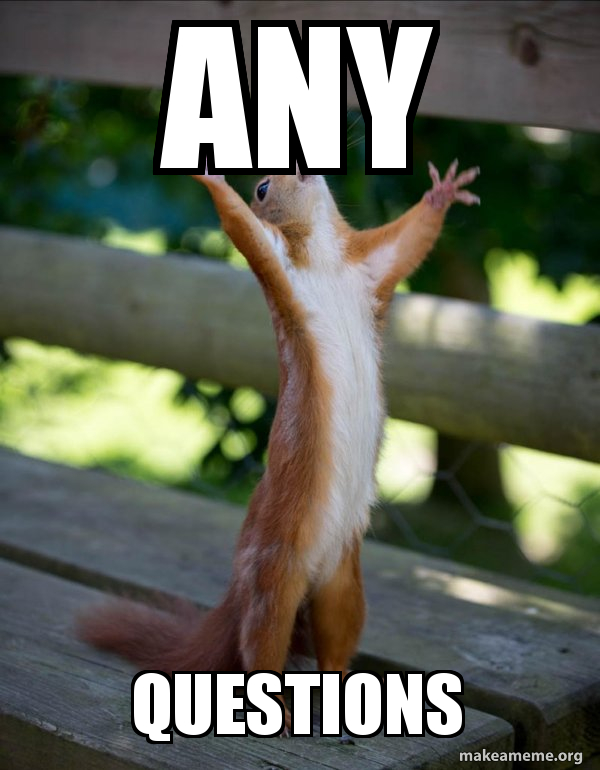 Any Questions - Happy Squirrel Meme Generator