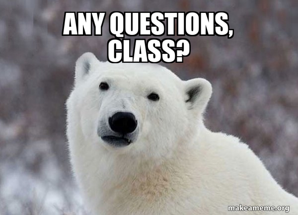Any questions, Class? - Popular Opinion Polar Bear Meme Generator