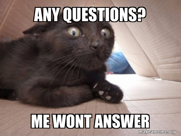 Any Questions? Me wont answer - Schitzo Cat Meme Generator