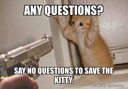 Any questions? Say no questions to save the kitty. Meme Generator