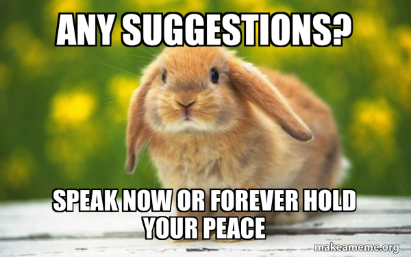 any suggestions? speak now or forever hold your peace - Regretful ...