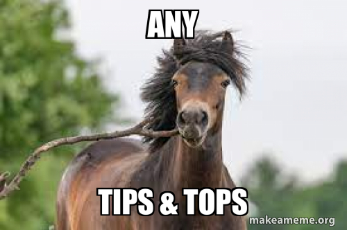 any Tips & Tops Meme Generator