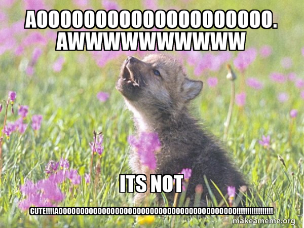 Baby Insanity Wolf Meme