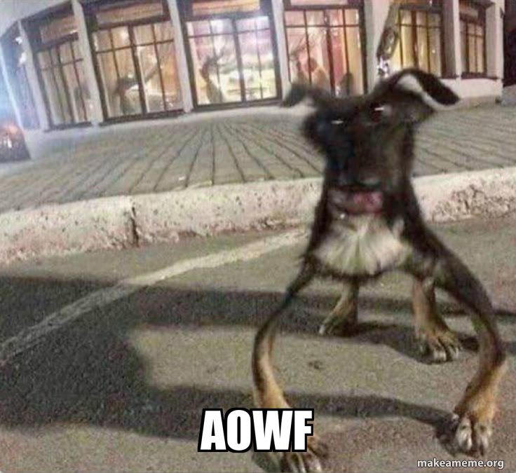 Aowf Meme Generator