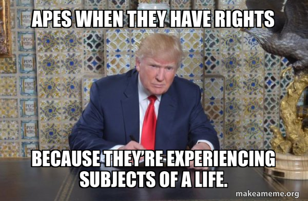 apes when they have rights because they’re experiencing subjects of a ...