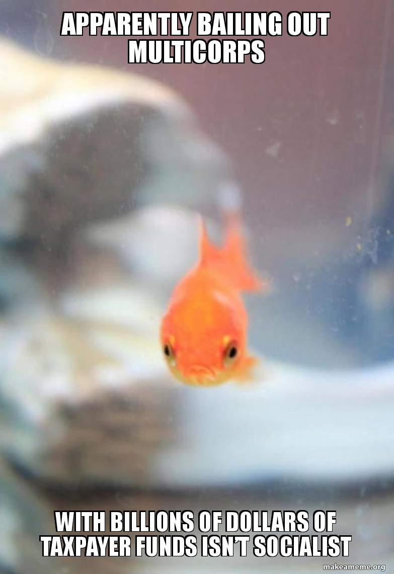 Apparently bailing out multicorps with billions of dollars of taxpayer ...