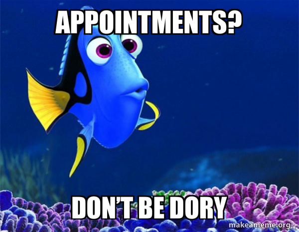Appointments? Don’t Be dory - Dory from Nemo (5 second memory) Meme ...