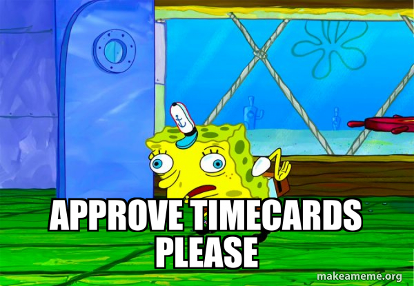 approve tImEcArDs please - Mocking SpongeBob Meme Generator