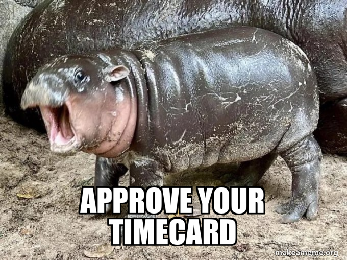 Approve Your Timecard Meme Generator