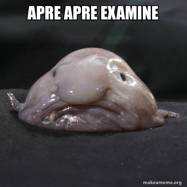 Apre Apre examine - Blobfish Meme Generator
