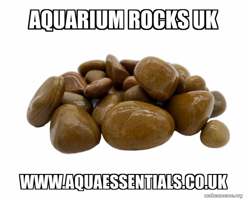 AQUARIUM ROCKS UK WWW.AQUAESSENTIALS.CO.UK - AQUARIUM ROCKS UK Meme ...