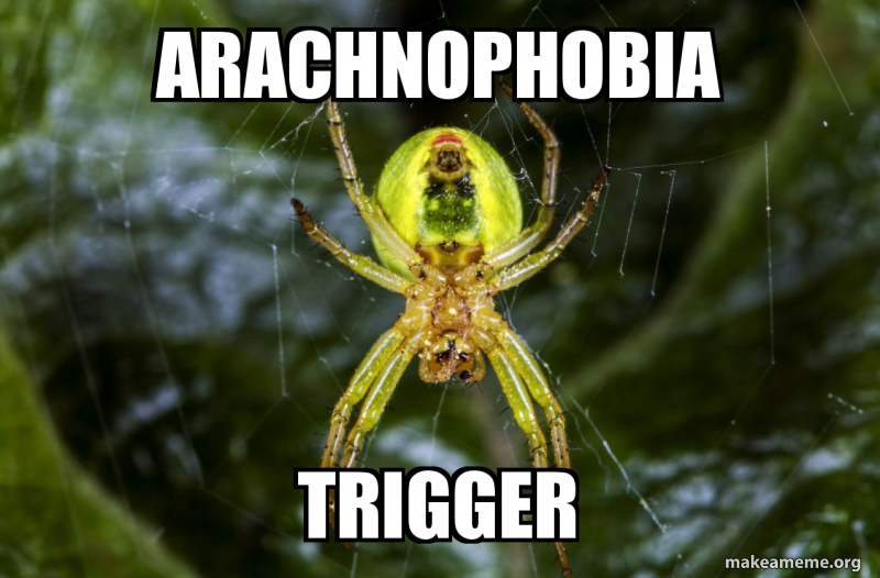 ARACHNOPHOBIA TRIGGER Meme Generator