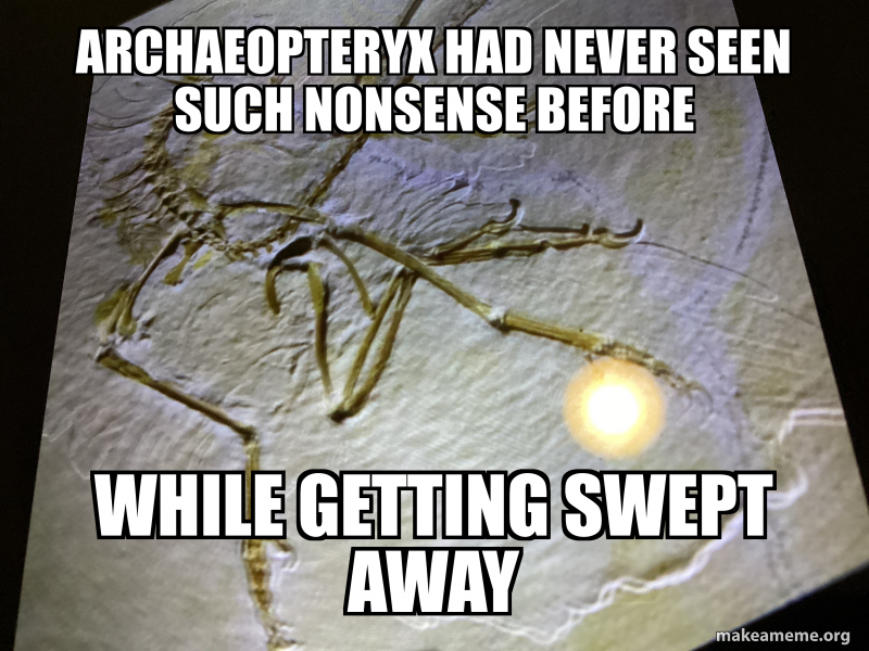 Archaeopteryx had never seen such nonsense before while getting swept ...
