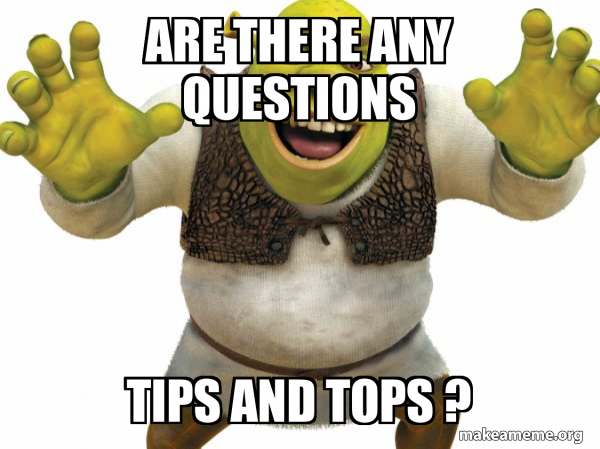 are there any questions tips and tops ? - Shrek Meme Generator